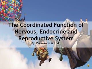 The Coordinated Function of Nervous System | PPTX