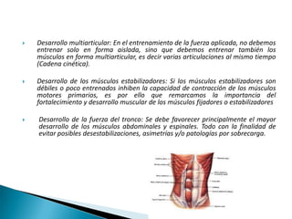 Educacion fisica fuerza | PPTX