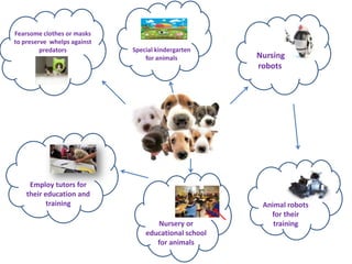 Educated animals | PPT