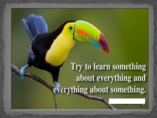 Education by Sukant Gupta | PPTX | Computer Networking | Computing