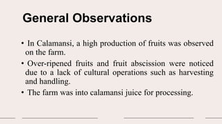 Educational-Farms-Tour-at-different-Fruit-Farms-in.pptx