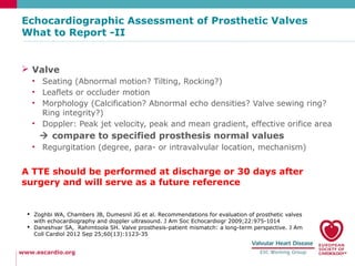 Bioprosthetic Valve Degeneration | PPT