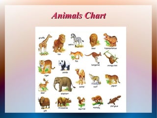 Educational Charts and Its Common Type | ODP