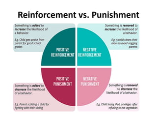 Educational Theories.pptx