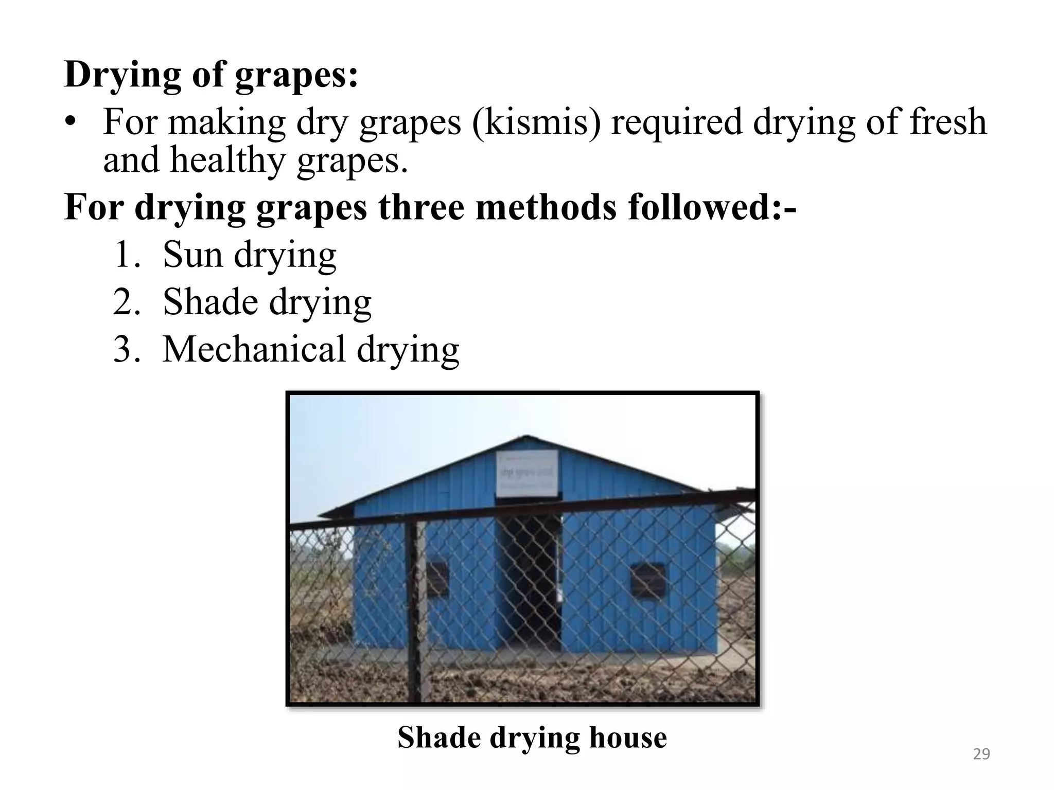 Educational tour of Horticulture students, SDAU, Dantiwada (Gujarat) | PPTX