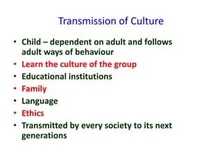 Education and culture | PPTX