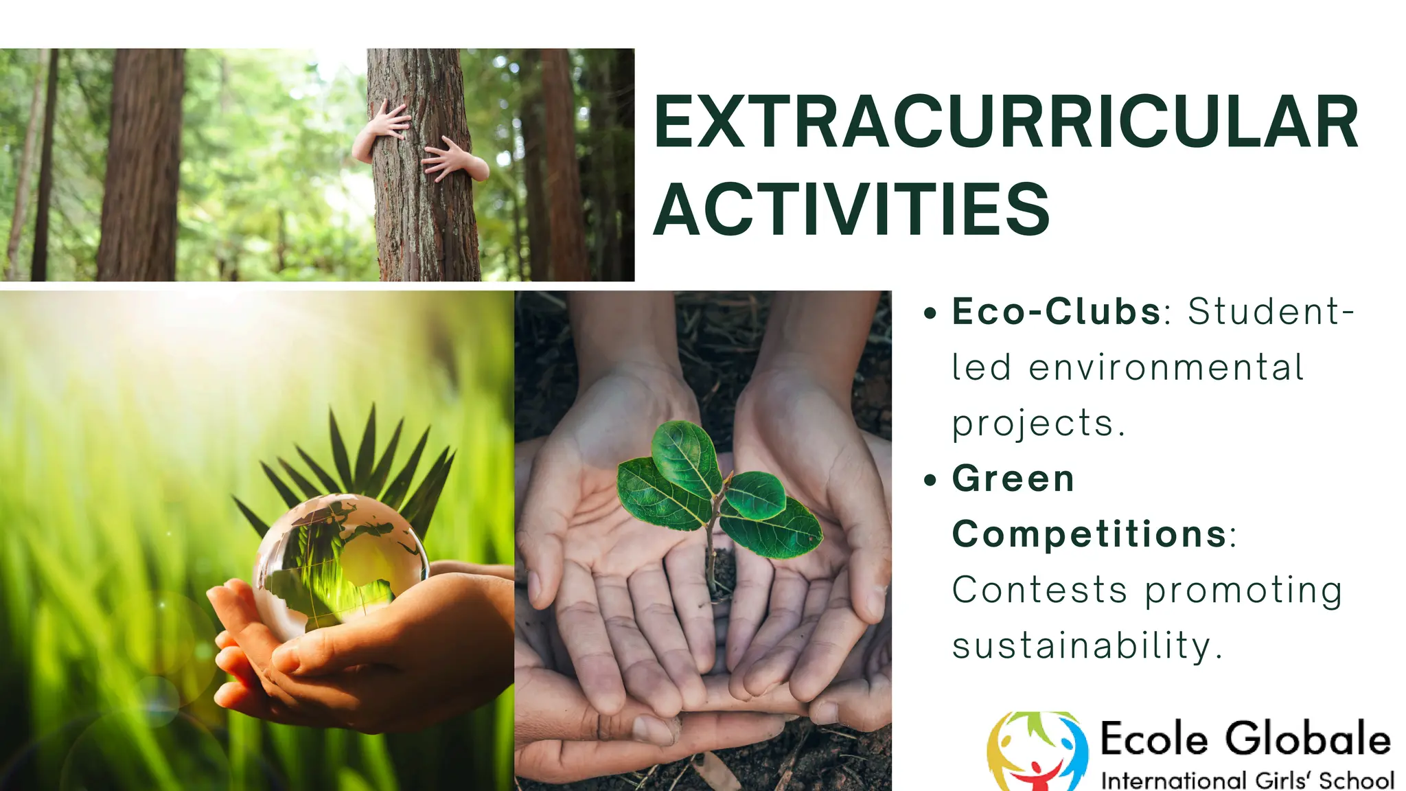 Education for Sustainable Development (ESD) Initiatives in Schools in ...