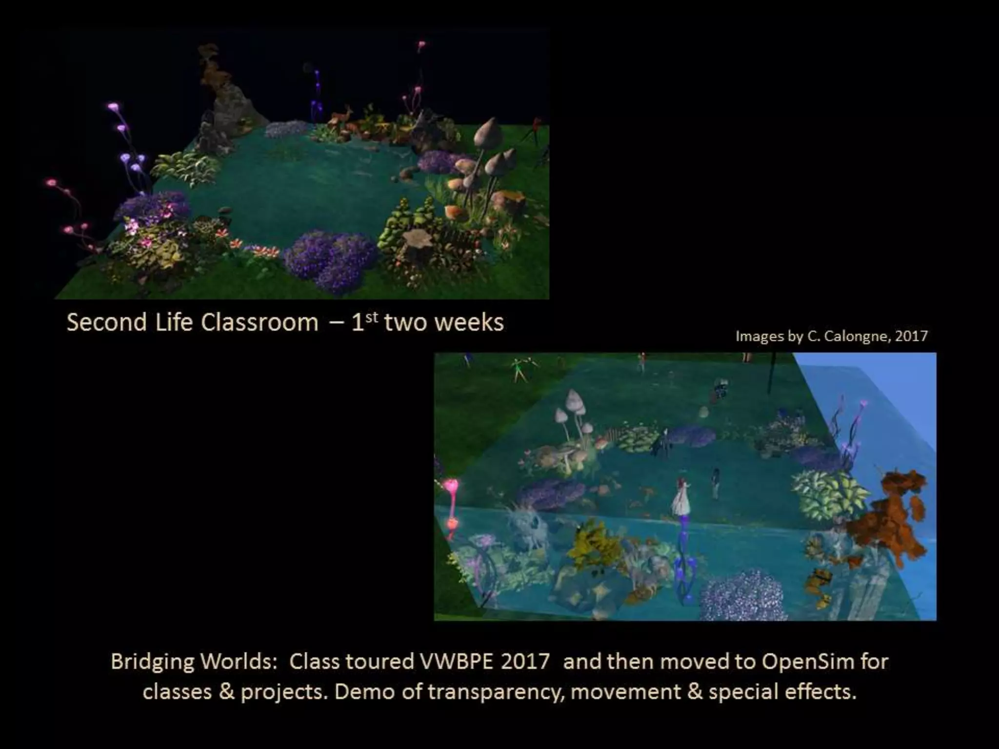 Education in virtual worlds in open simulator calongne_imgs | PPT