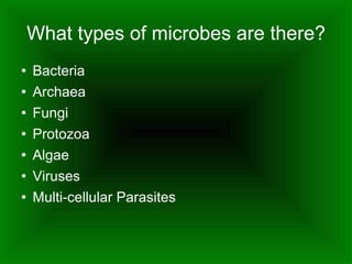 Microbio2 | PPT