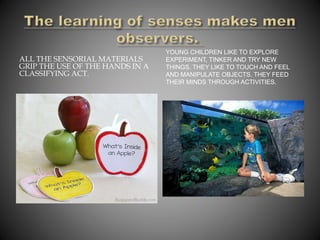 Education of senses | PPTX