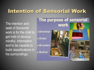 Education of senses | PPTX