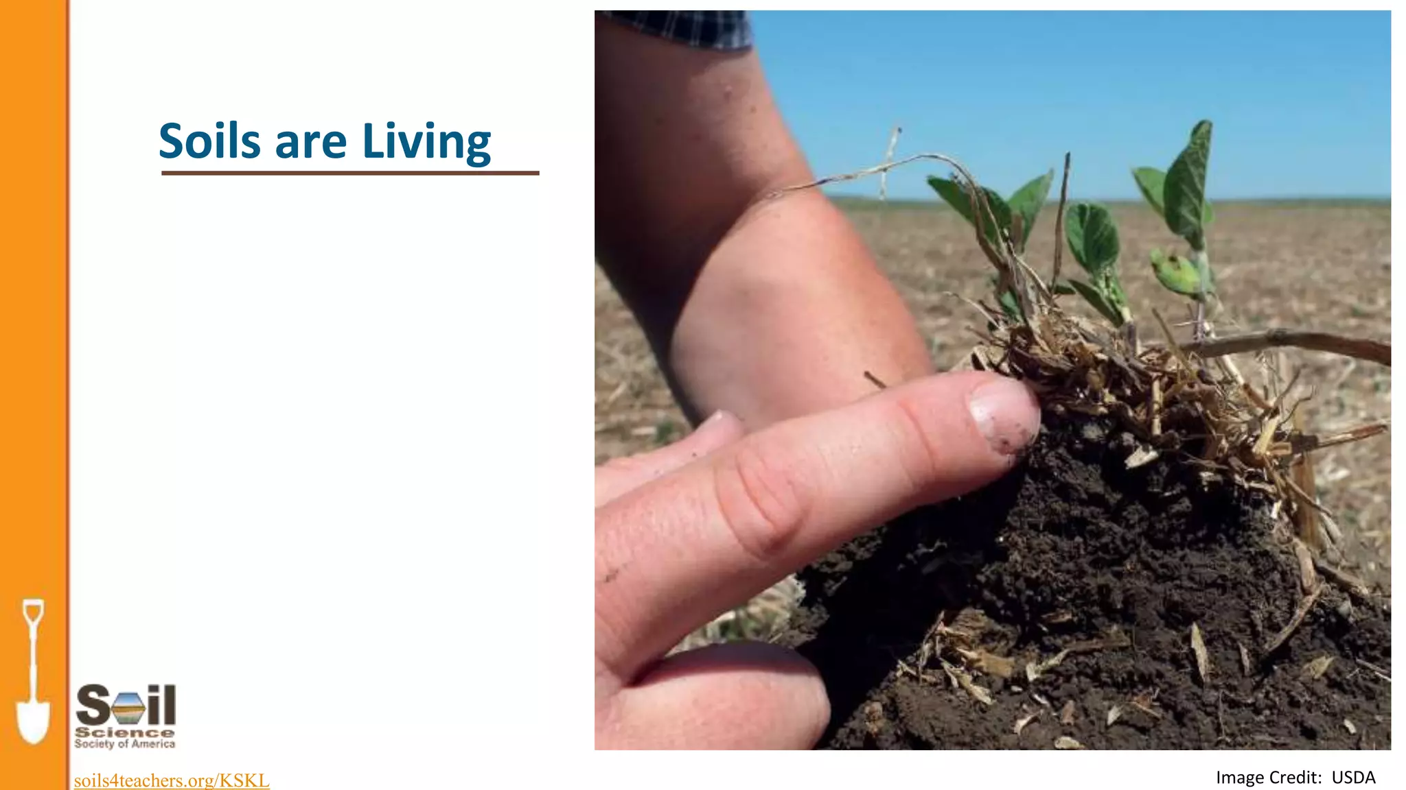 Educators PPT chapter 3 | PPT