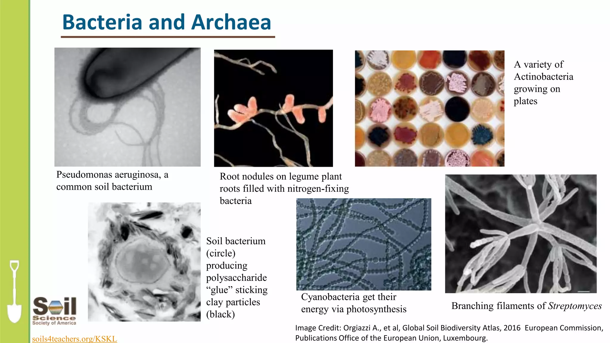 Educators PPT chapter 3 | PPT