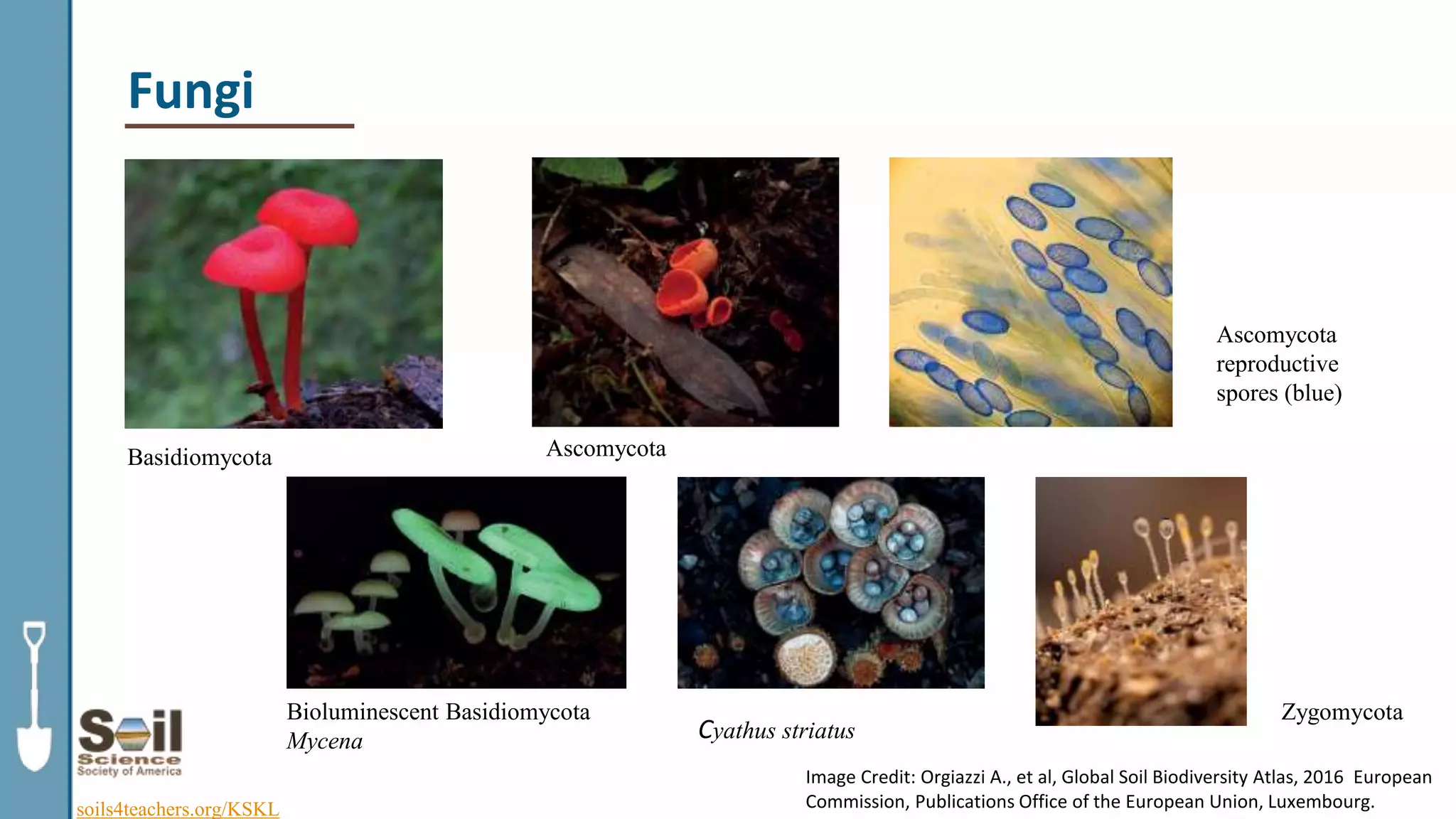 Educators PPT chapter 3 | PPT