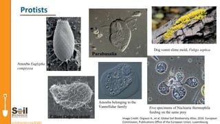 Educators PPT chapter 3 | PPT