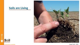 Educators PPT chapter 3 | PPT