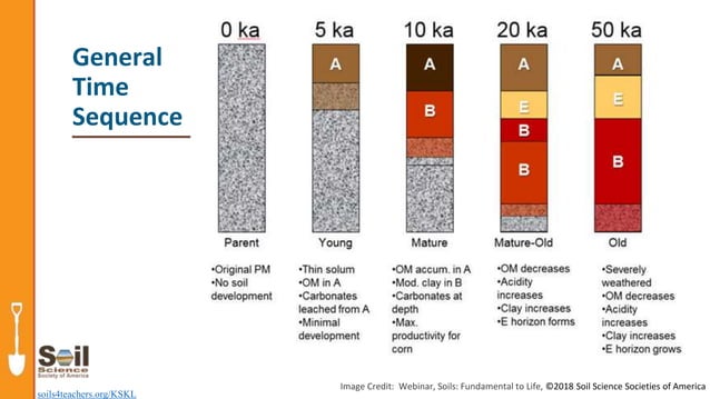 Educators PPT file chapter 2 | PPT
