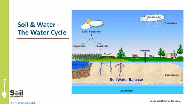 Educators PPT file chapter 2 | PPT