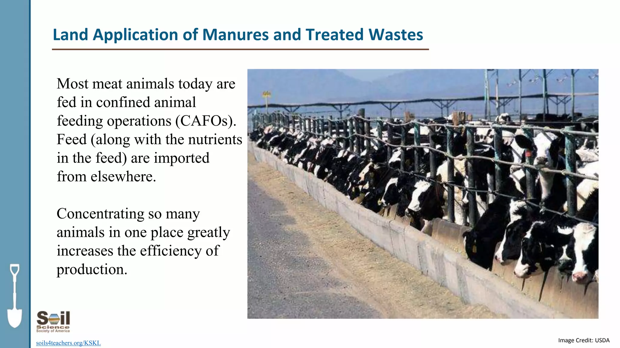 Educators PPT file chapter 6 | PPT