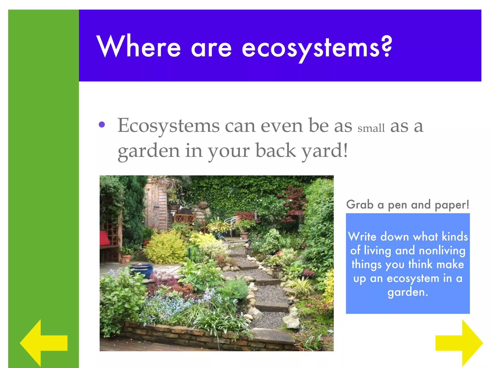 Edu 290 Ecosystem Lesson | PPT