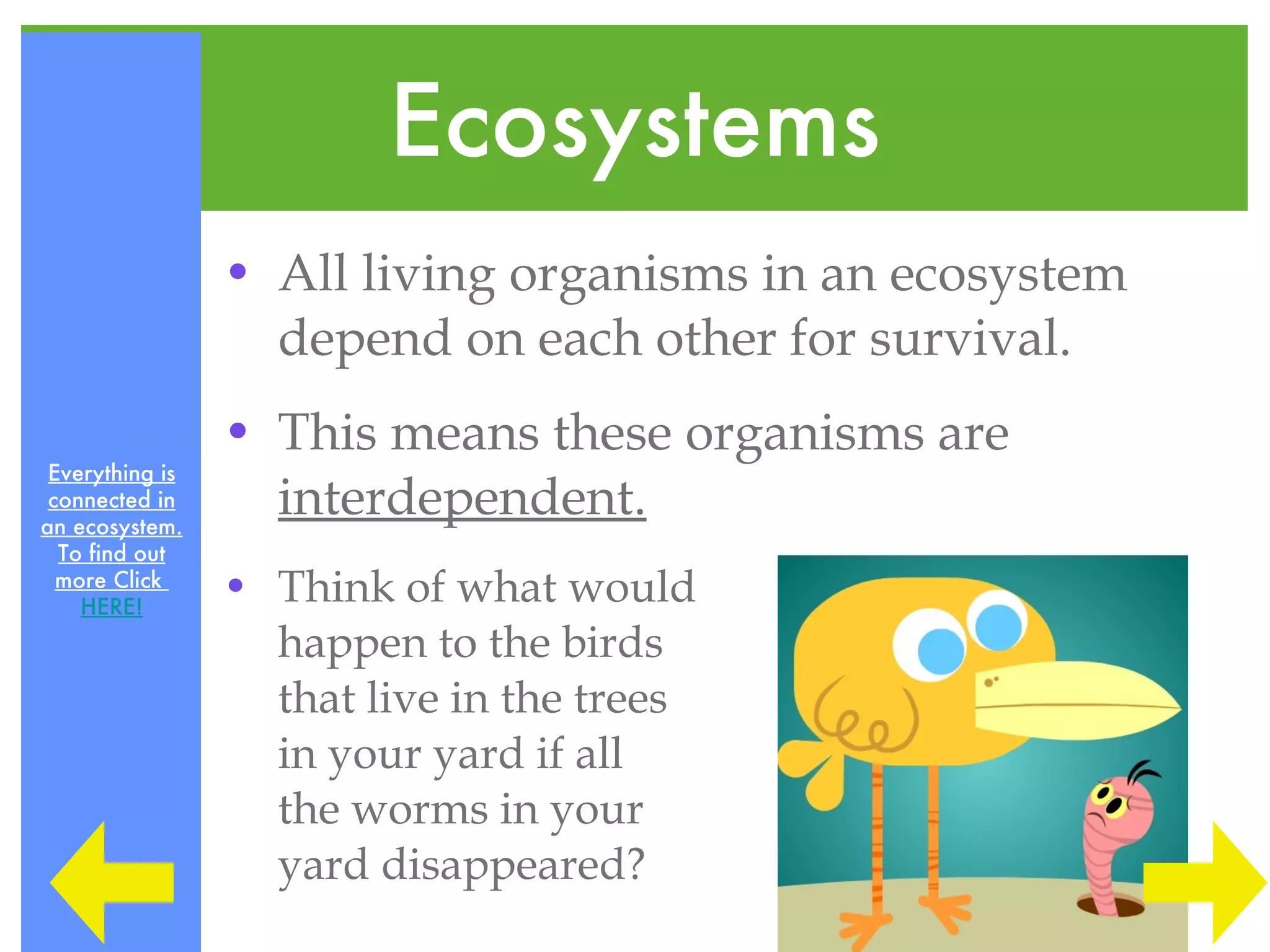 Edu 290 Ecosystem Lesson | PPT