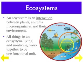 Edu 290 Ecosystem Lesson | PPT