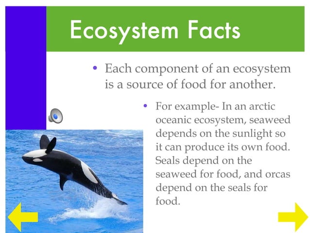 Edu 290 Ecosystem Lesson | PPT