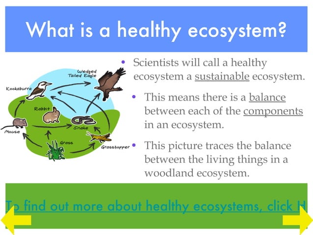Edu 290 Ecosystem Lesson | PPT | Free Download
