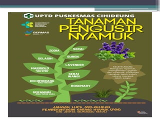 Edukasi PHBS DI SEKOLAH untuk siswa sekolah.pptx