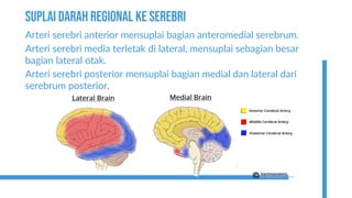gangguan fungsional dan rehab dasar penderita stroke | PDF
