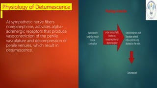 Erectile dysfunction updates | PPTX