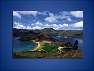 Ecuador! | PPT