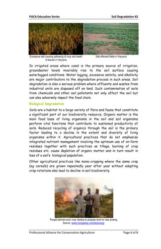 Edu soil 2 | PDF | Agriculture | Industries