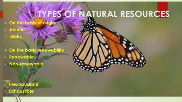 natural resources depletion | PPTX