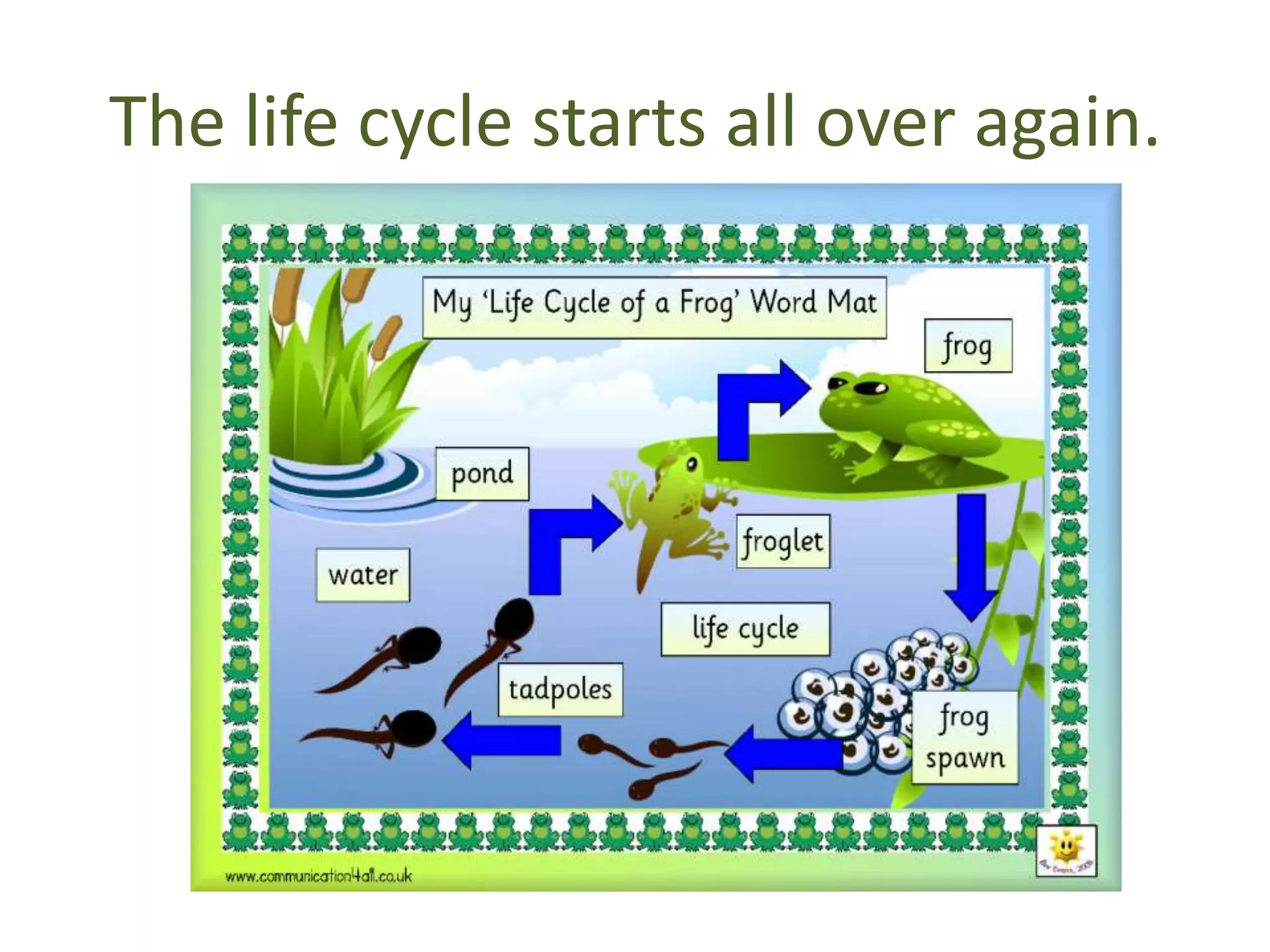 Eduu 551 powerpoint | PPTX