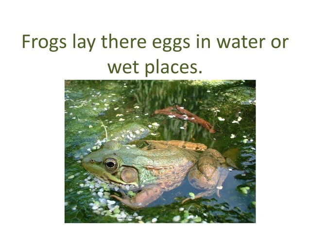 Eduu 551 powerpoint | PPTX