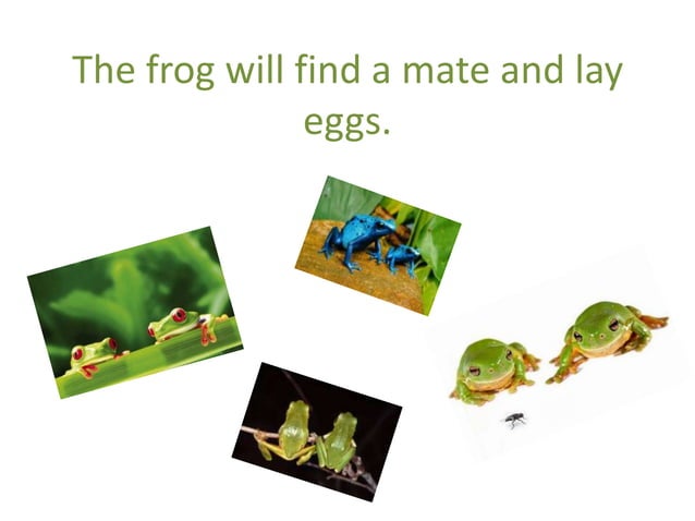 Eduu 551 powerpoint | PPTX