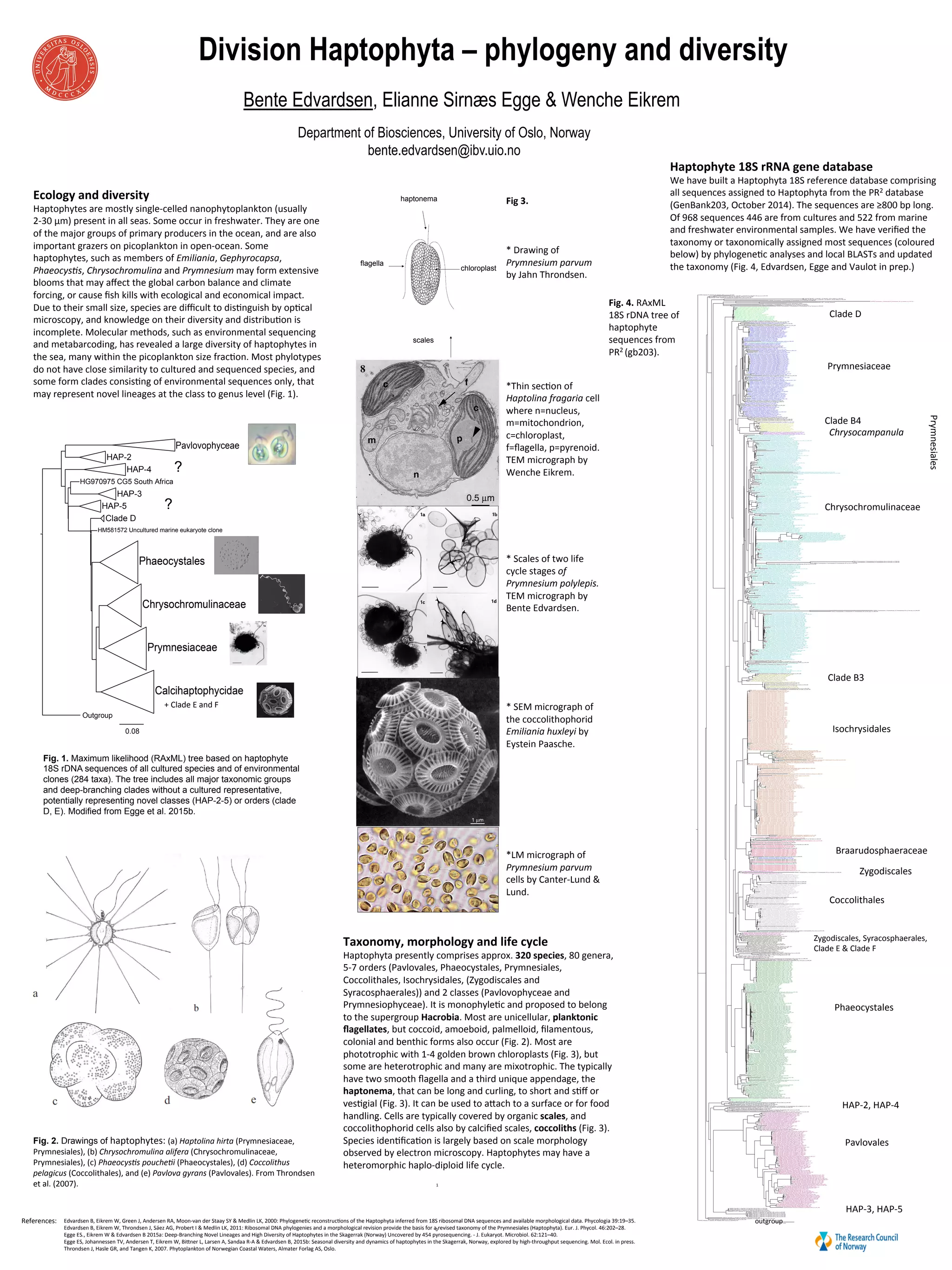 Division Haptophyta – phylogeny and diversity | PDF