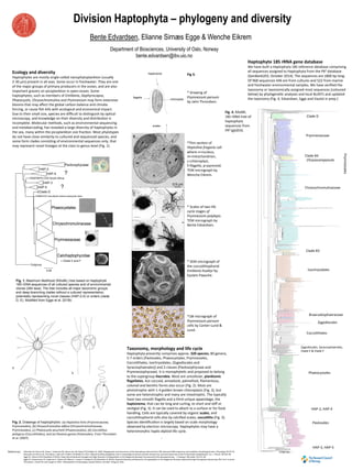 Division Haptophyta – phylogeny and diversity | PDF | Biological ...