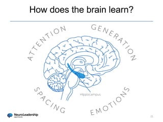Neuroleadership - Leading with the brain in mind ~ Bill Flynn | PPTX