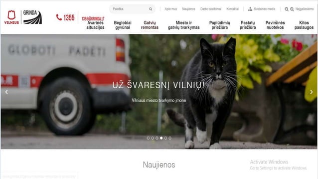 Edvinas Vasiliauskas grinda.lt skaidres | PPT