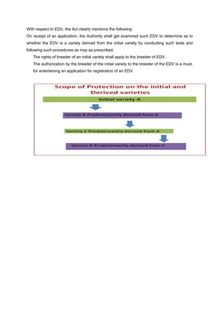 Essentially Derived varieties In Plant Breeding | DOCX