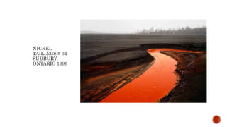 Edward Burtnysky | PPT