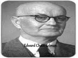 Edward chace tolman's cognitive learning | PPTX