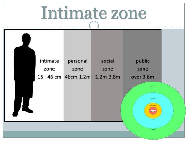 of concentric circles learners create a model of personal space display ...