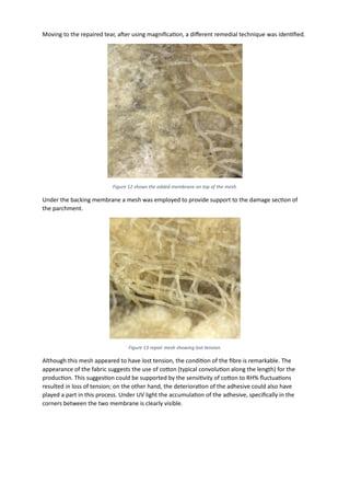 Edward II Royal Charter Lincoln.pdf