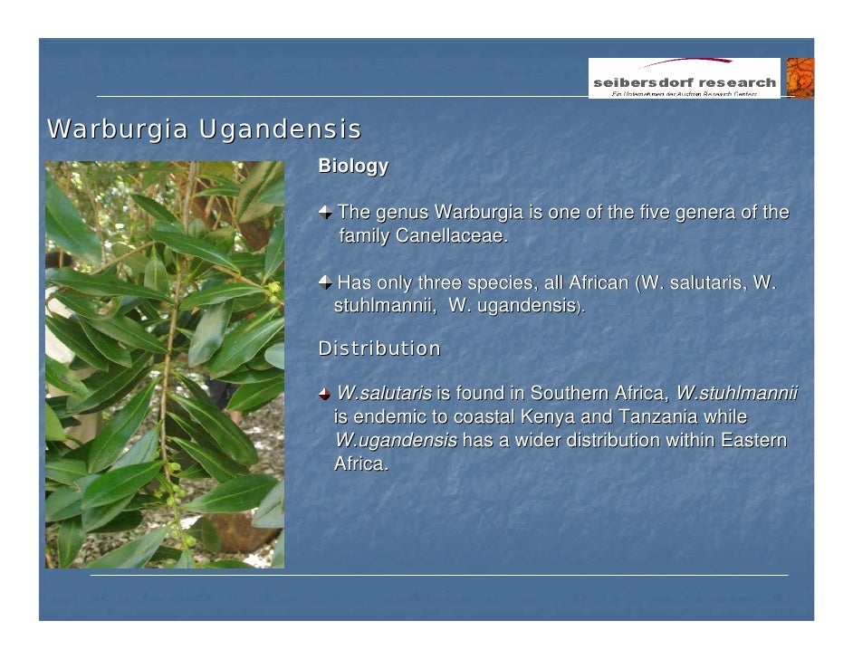 Edward Muge Presentation