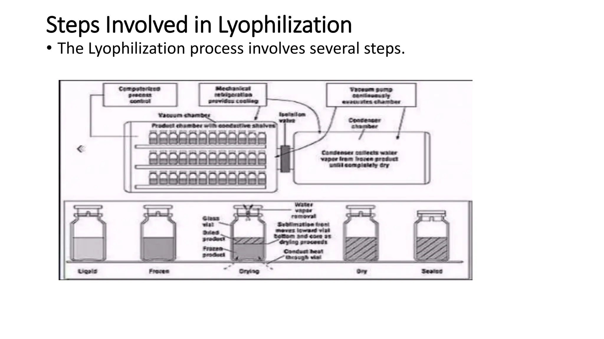 Medical lab.BIochemical technique. Lyophilization.pptx