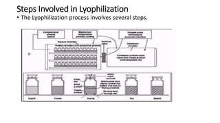 Medical lab.BIochemical technique. Lyophilization.pptx