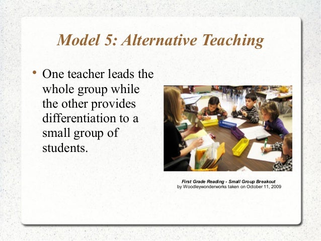 Co-Teaching Models